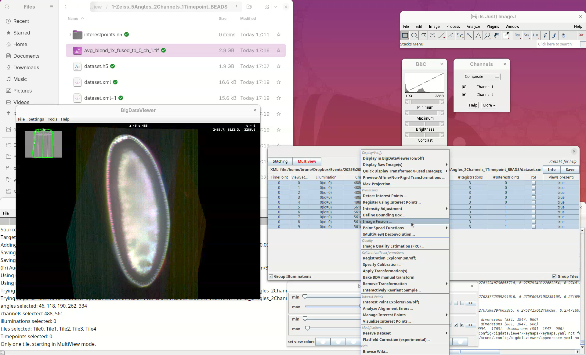 Multiview reconstruction in Fiji using BigStitcher