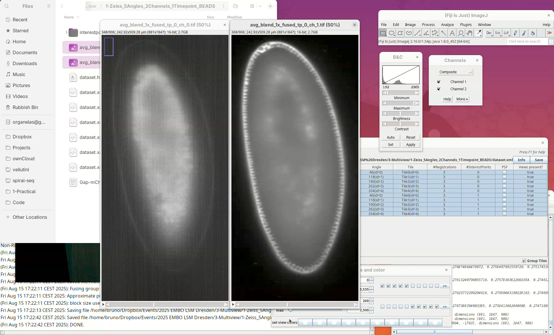 Multiview reconstruction in Fiji using BigStitcher
